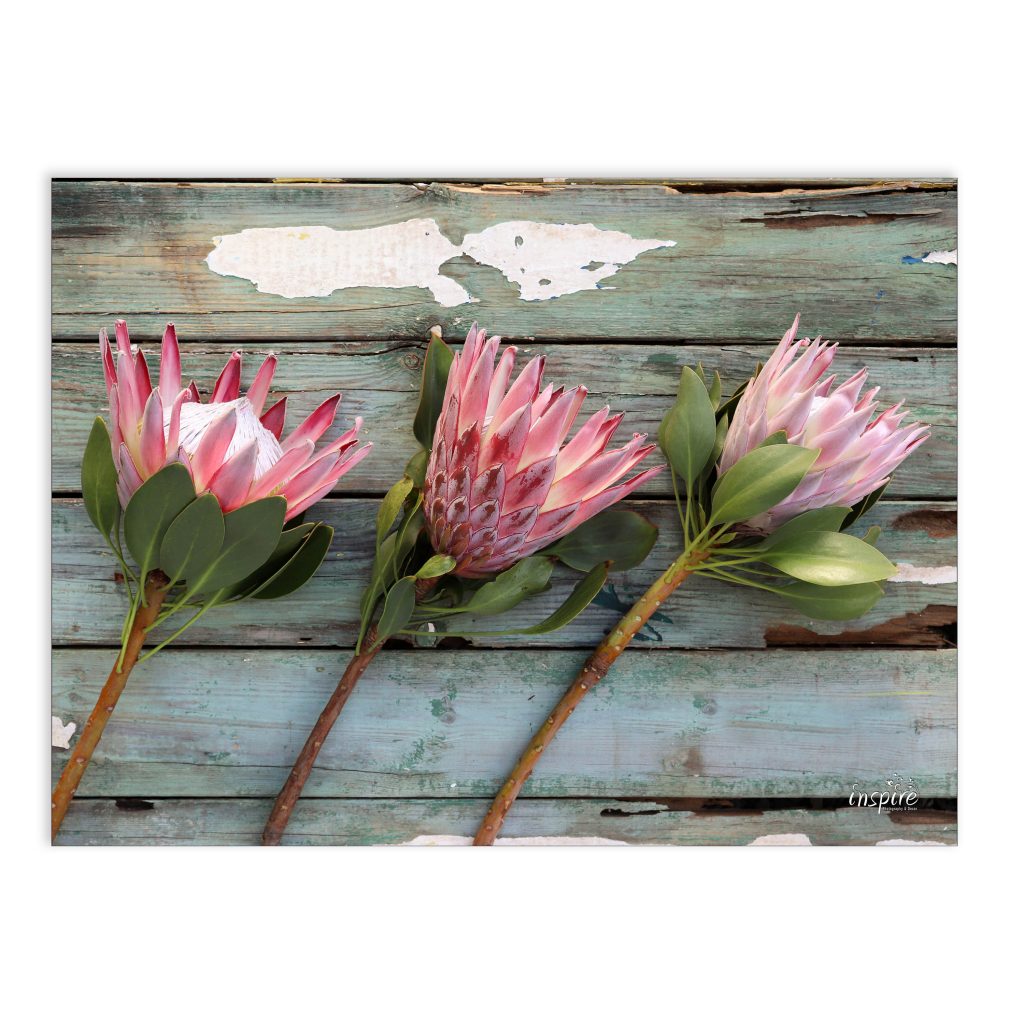 Hot pot tile PKH129 - Inspire Online Shop