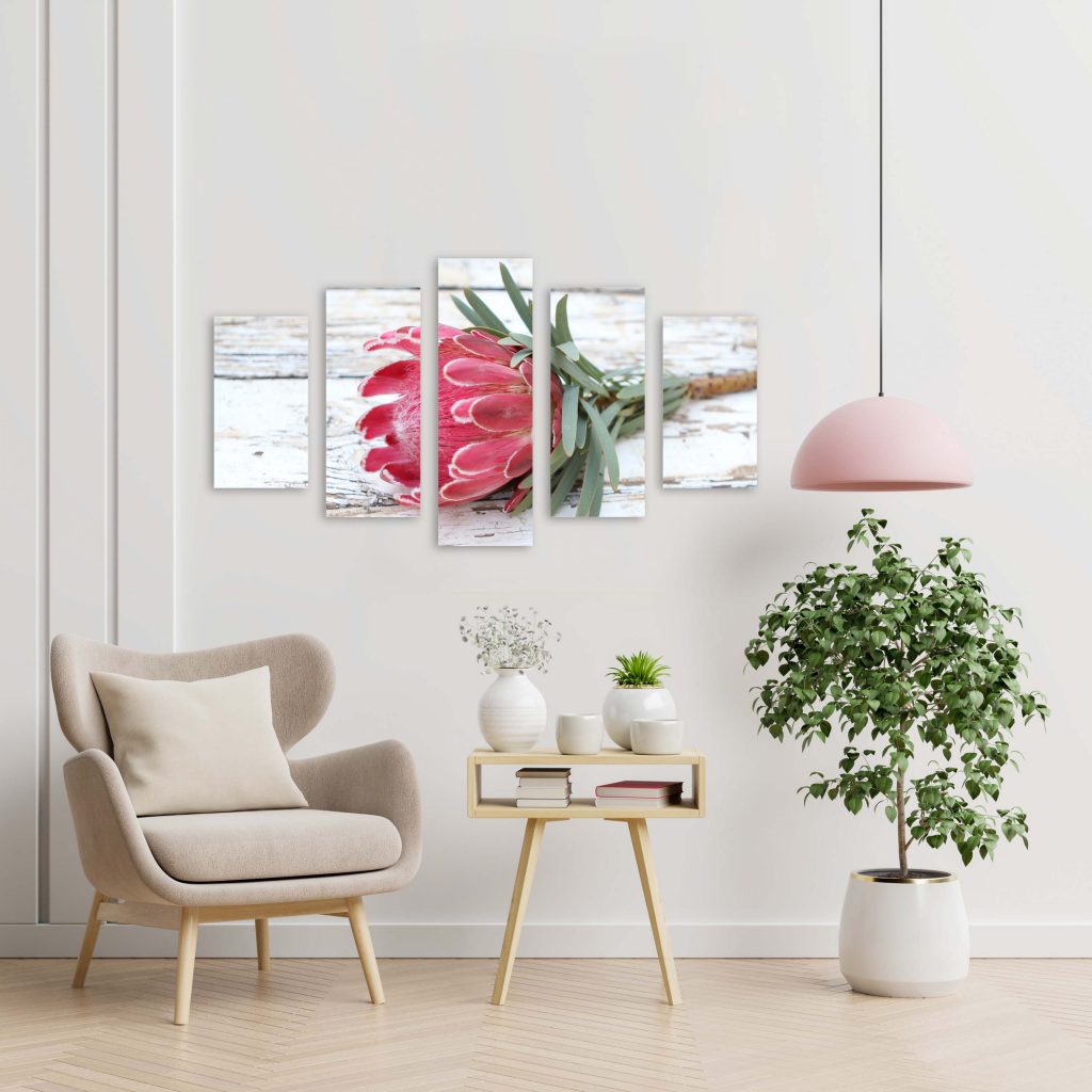 Canvas - Red Protea 5 Panel Split Canvas - Inspire Online Shop